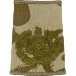 Sergeant R Signals (264 SAS Signal Squadron) NCO or Officer Cadet rank