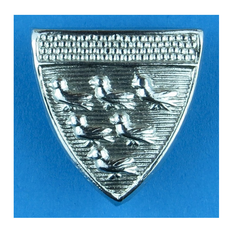 West Sussex Constabulary UK Police or Prison insignia