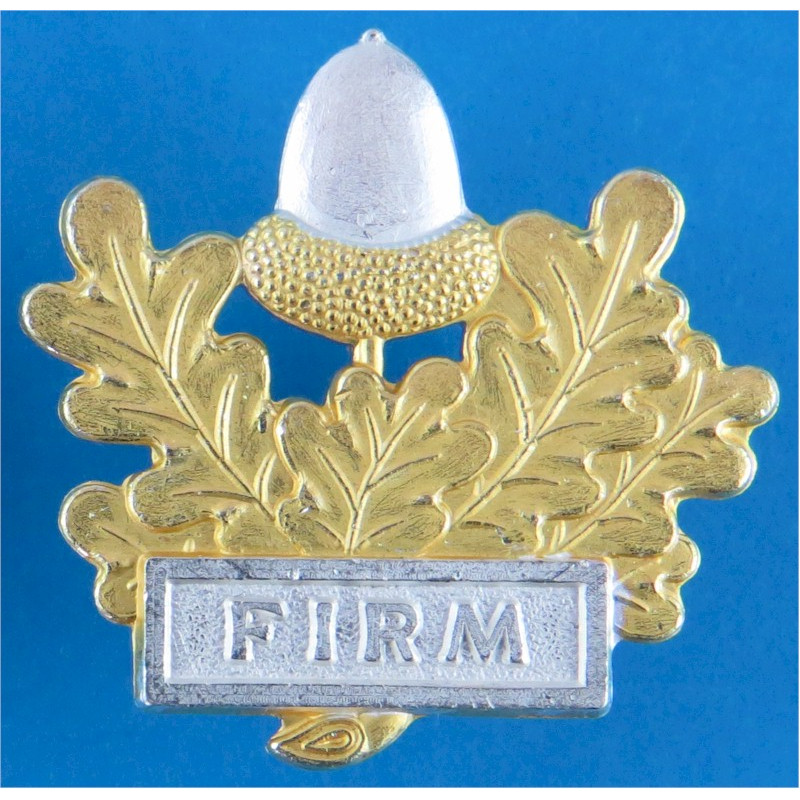 Mercian Regiment - 'Firm' Oakleaf collar badge